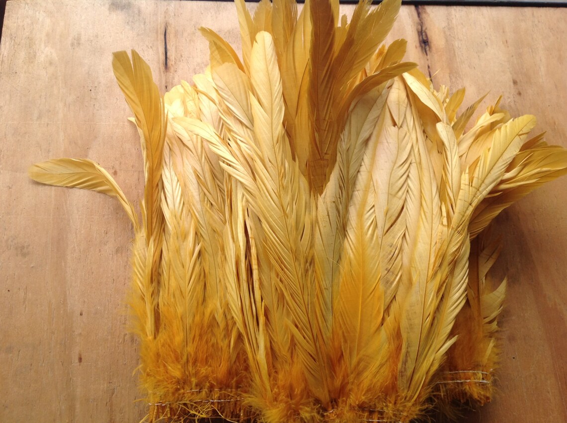 Dyed Golden Yellow Rooster Tail Feathers.. 3" Pack of 11" - 13" in ...