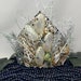 Princess Shells Headpiece. Tahitian & Cook Islands Headpiece. - Etsy