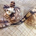 Authentic Coconut Bark, Tapa Cloth and Braided Coconut Husk Fibers Bra ...