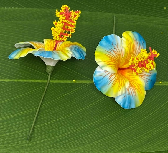 Nombres De Flores Hawaianas