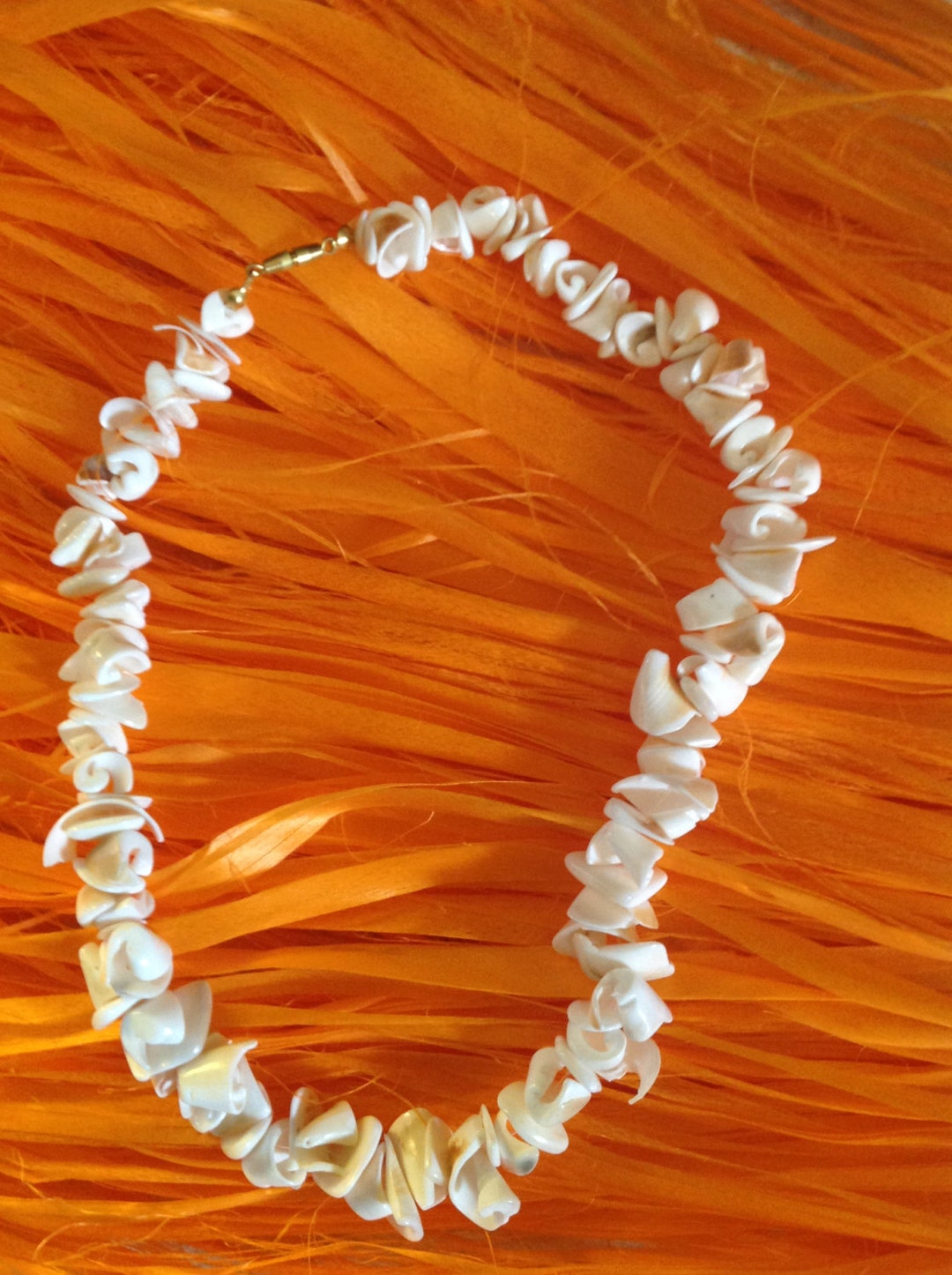 White Sea Shells Necklace - Etsy