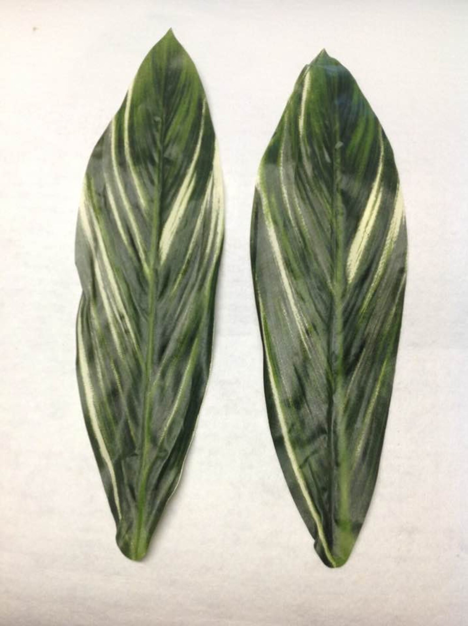 Tropical Silk Ti Leaf Bun Wrap. Braided Ti Leaf Bun Wrap. | Etsy