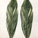 Tropical Silk Ti Leaf Bun Wrap. Braided Ti Leaf Bun Wrap. Perfect for ...