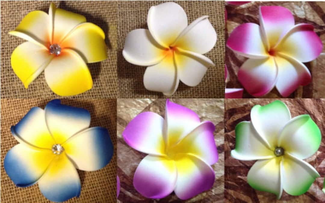 Hawaiian Pua Melia Flower. Hawaiian Beach Wedding Flowers. Frangipani ...