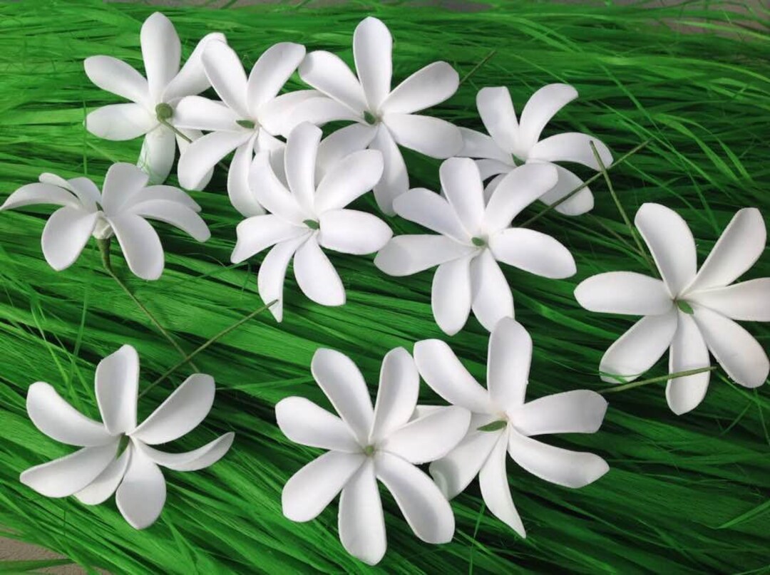 Tropical Tiare Flower. Beautiful Gardenia Hair Pick Flower for Beach ...