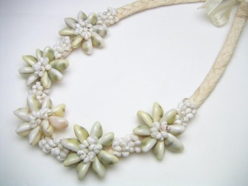 Green Sigay cowry Shell With White Mongo Shell Raffia - Etsy