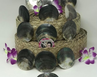 Black Lip Shell | Etsy