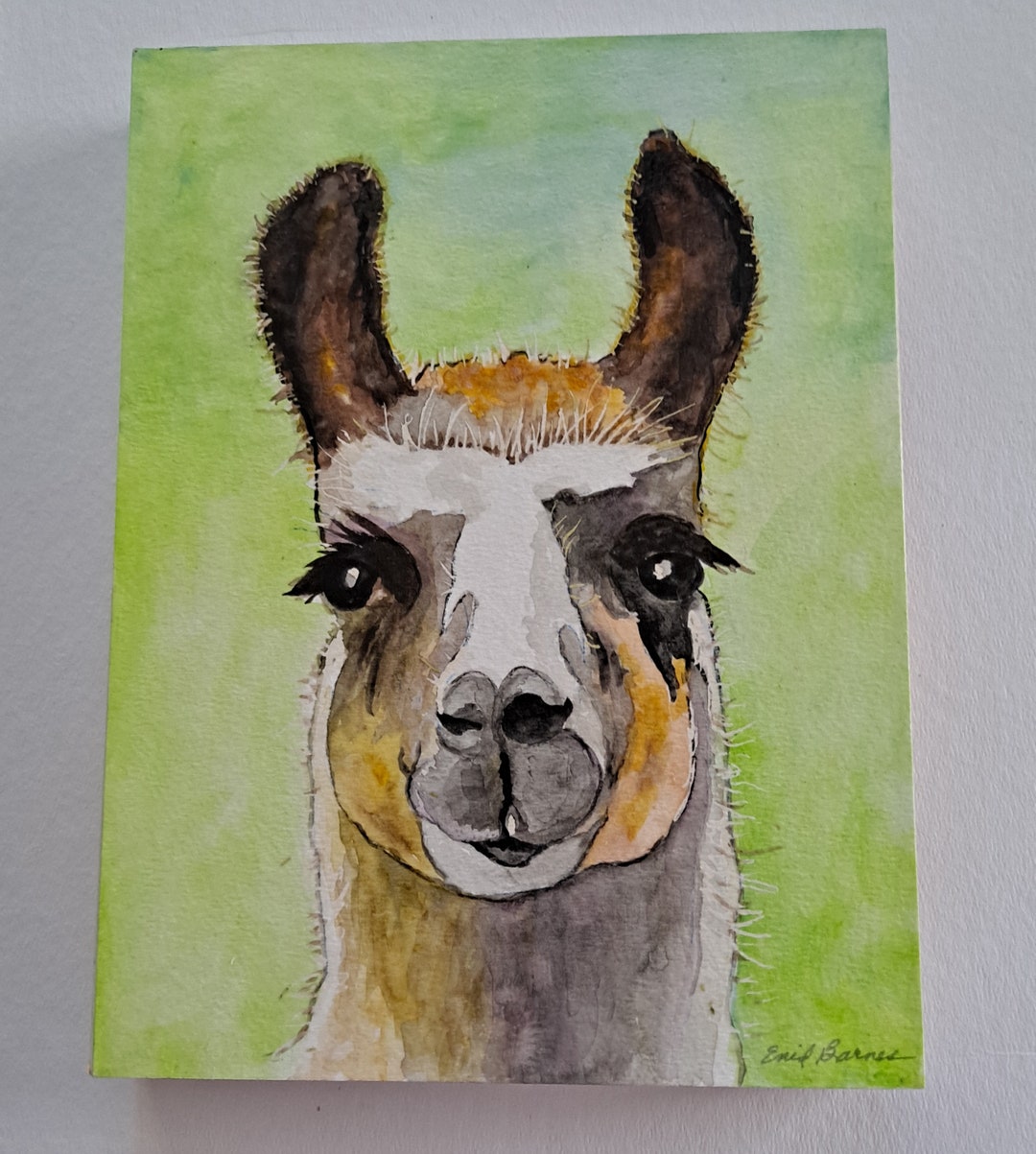 Original Llama Mounted Watercolor Portrait 9 X 12 - Etsy