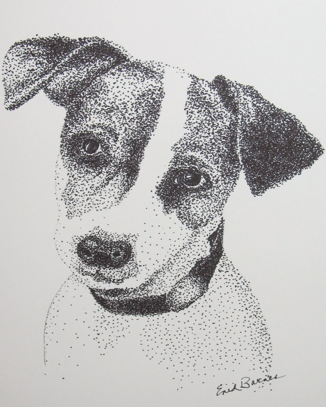 Jack Russell Original Pointillism Pen and Ink Drawing - Free Shipping ...