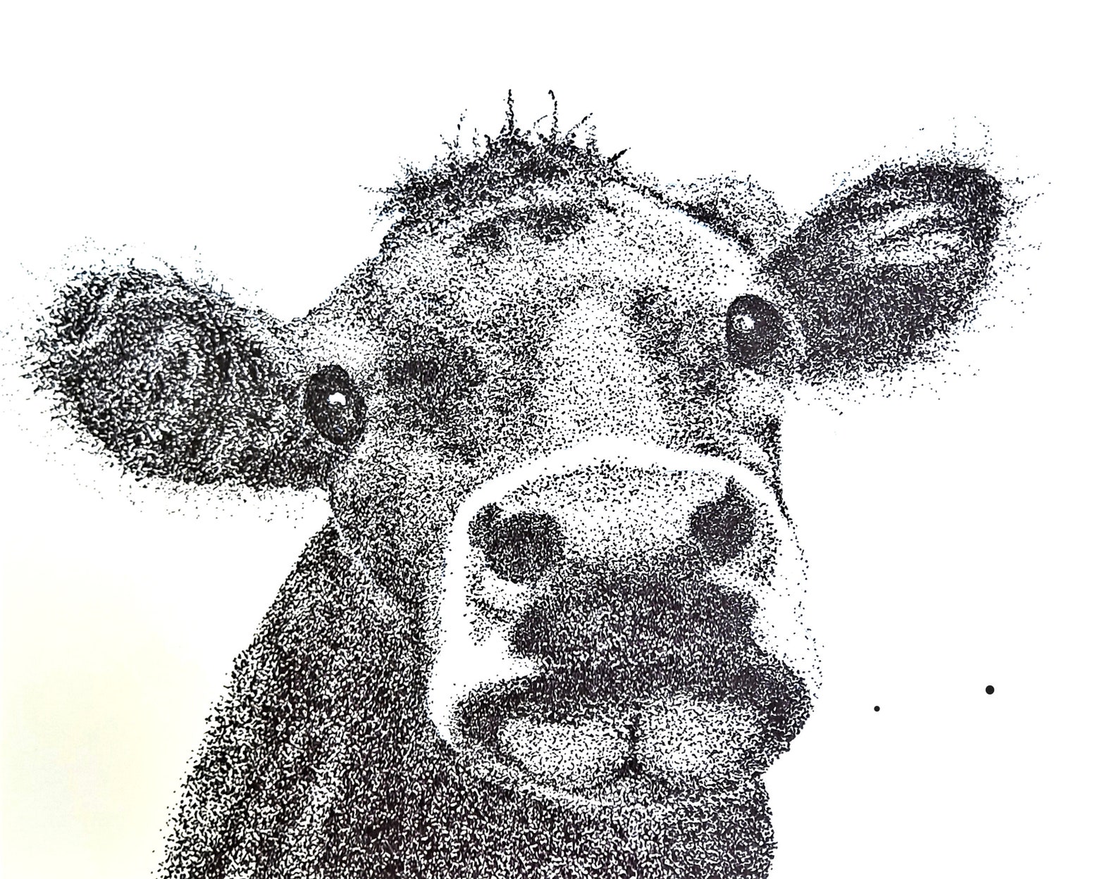 Instant Download of Cow Pointillism Drawing - Etsy
