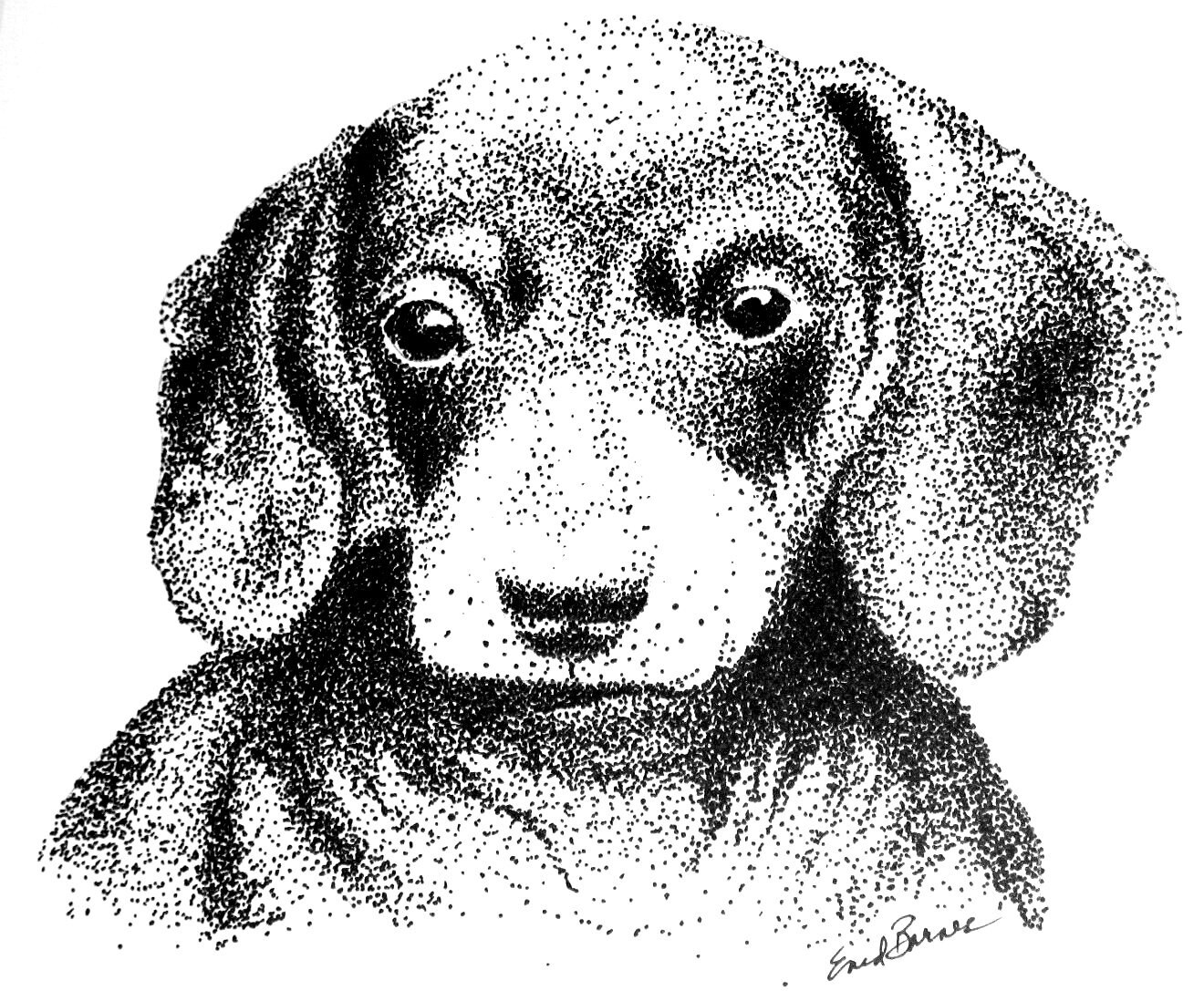 Original Pointillism Drawing of a Daschund - Etsy