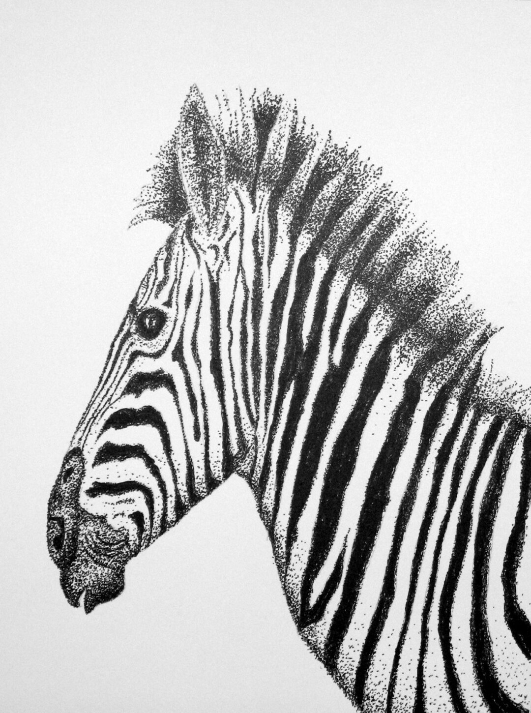 Instant Download of Zebra Pointillism Drawing for Personal Use or ...