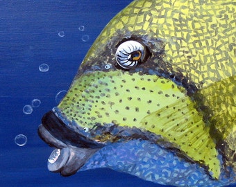 Original Acrylic SEA ROBIN Fish Painting With Bubbles | Etsy