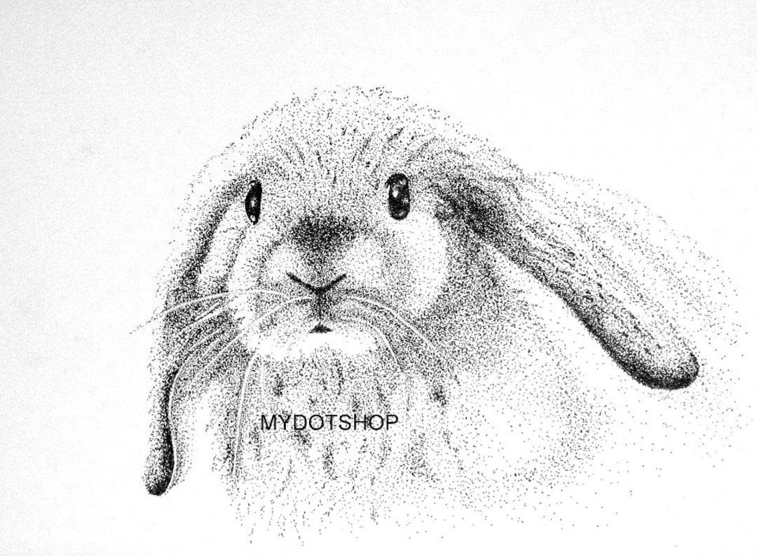 Original Pen and Ink Pointillism Drawing of a RABBIT - Etsy