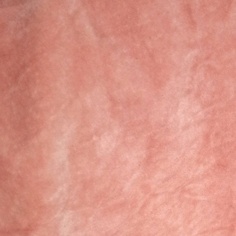 Blush Velvet Fabric - Etsy