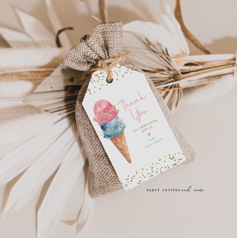 Ice Cream Birthday Thank You Tag, Pink and Blue Ice Cream Baby Shower ...