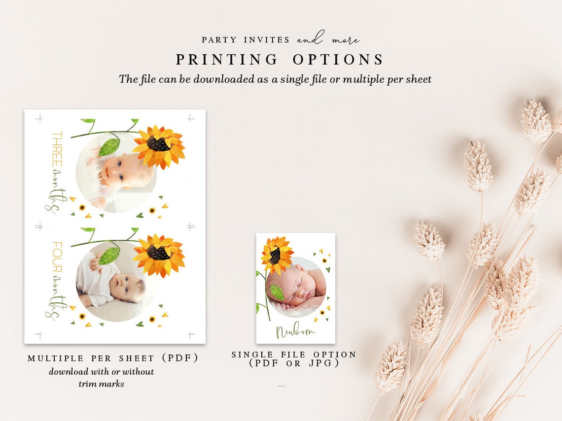 Sunflower First Birthday Monthly Photo Banner Sunflower 1st - Etsy