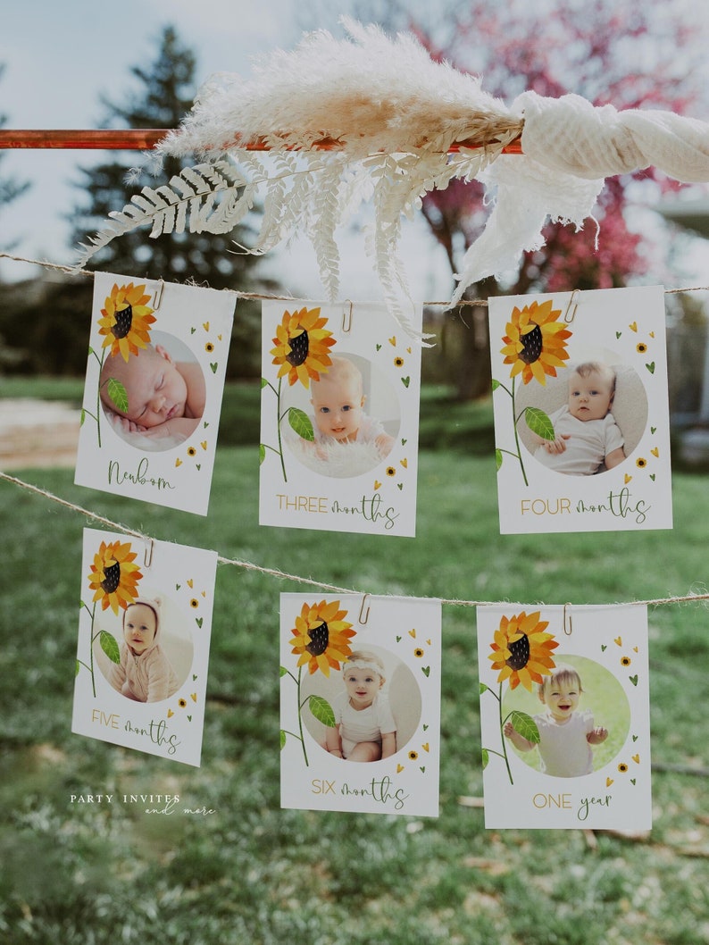 Sunflower First Birthday Monthly Photo Banner Sunflower 1st - Etsy