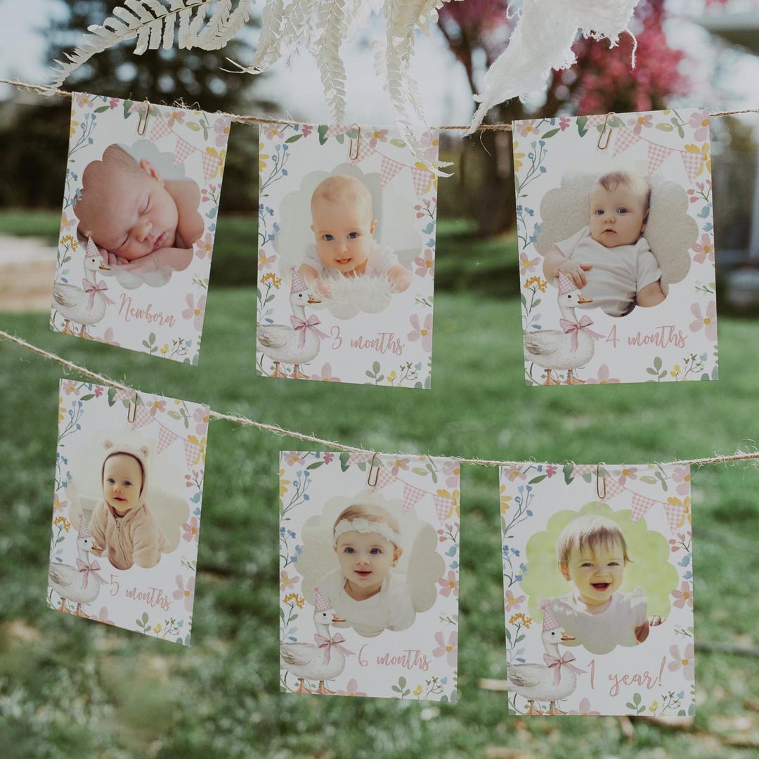 Goose & Flowers 1st Birthday Photo Banner, Monthly Milestone Decor ...