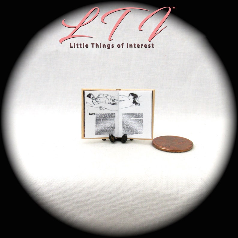 The Joy Of Sex Miniature Dollhouse 1 12 Scale Illustrated Etsy