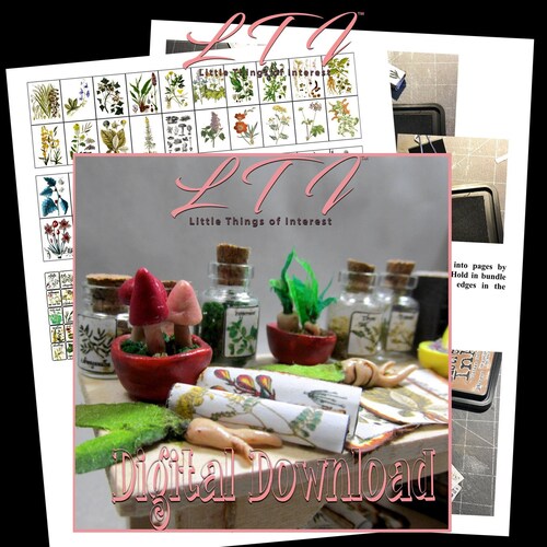 Botany Set 1/12 Dollhouse Miniature Printable Digital Download - Etsy