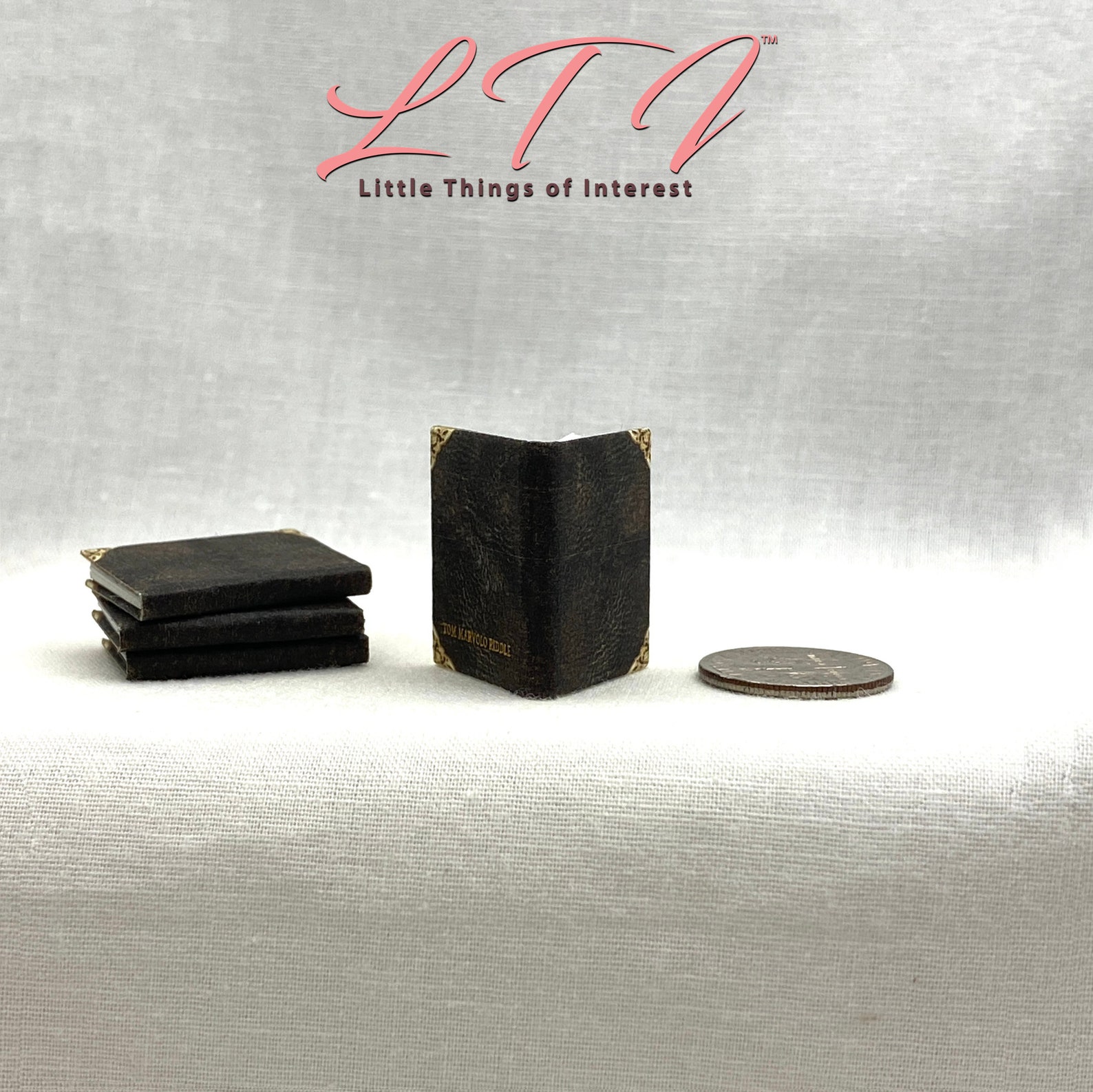 DIARY of TOM RIDDLE 1:12 Scale Miniature Dollhouse Readable - Etsy