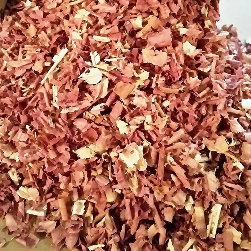 2 Eastern Red Cedar - Etsy