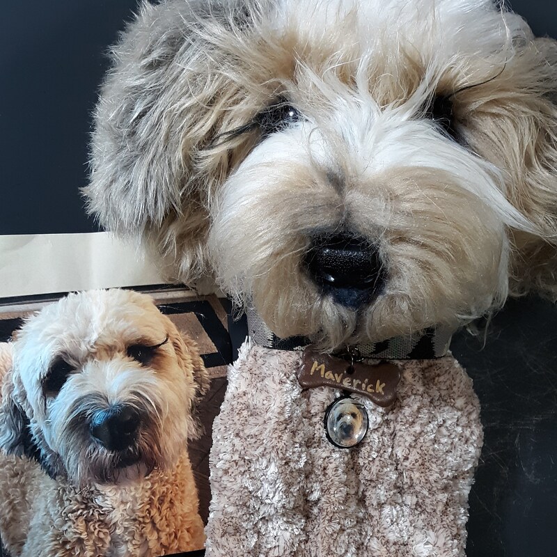 Fairway Driver Golf Club - Etsy