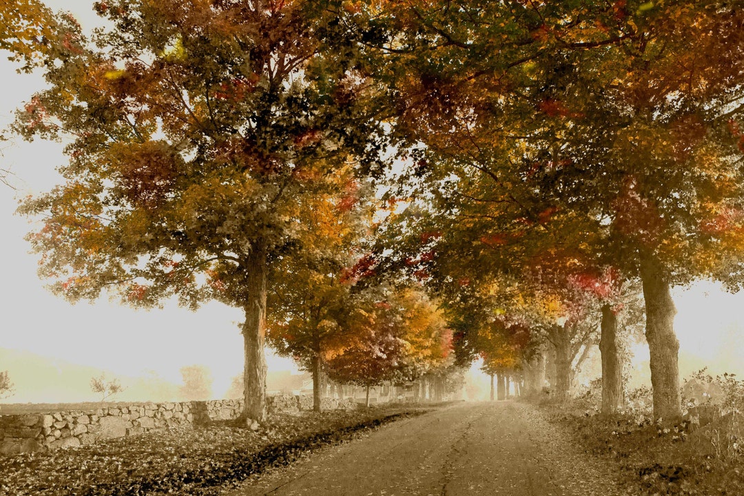 Herfst in New England 19x13 Print - Etsy Nederland