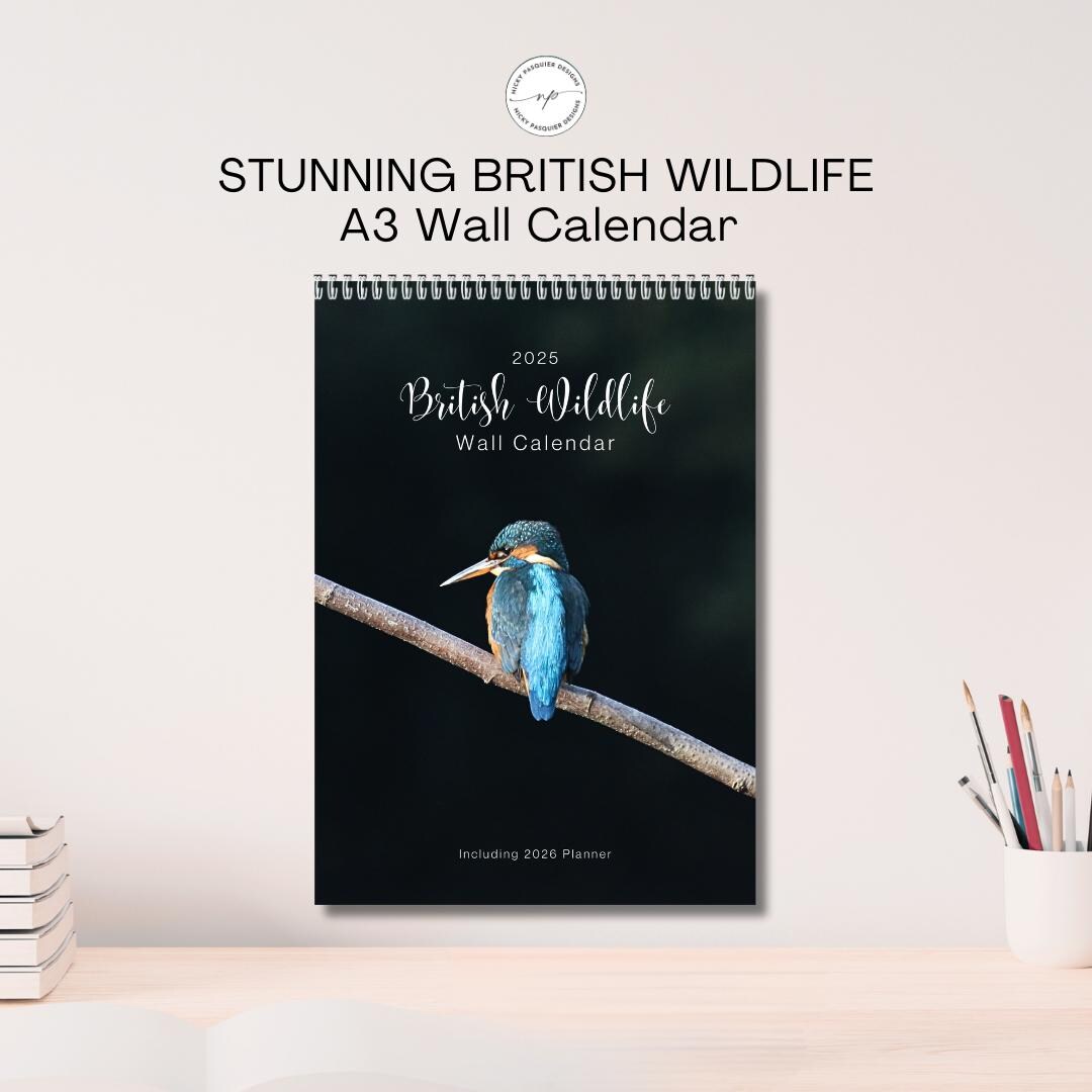 Stunning A3 Wall Calendar 2025 British Wildlife Photography Calendar - Etsy