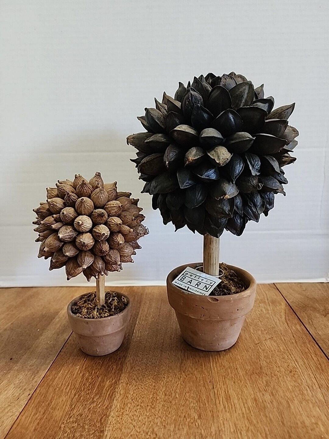 Vintage Pottery Barn Nut Topiary 13 Inch and 8 Inch Tall Lot of 2 - Etsy