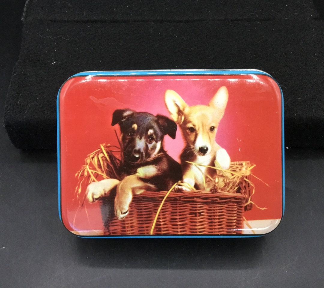 Vintage Toffee Tin With Adorable Dogs - Made in England - Etsy
