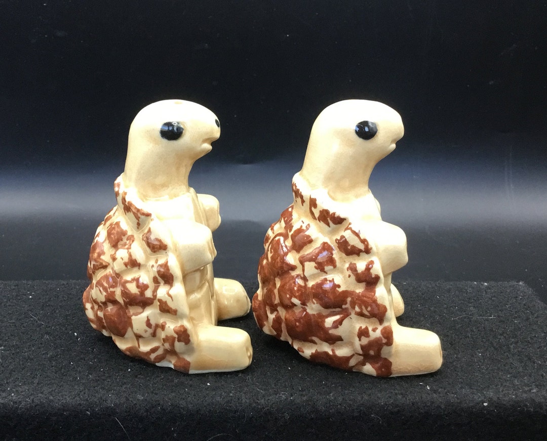 Turtle Shakers - Etsy