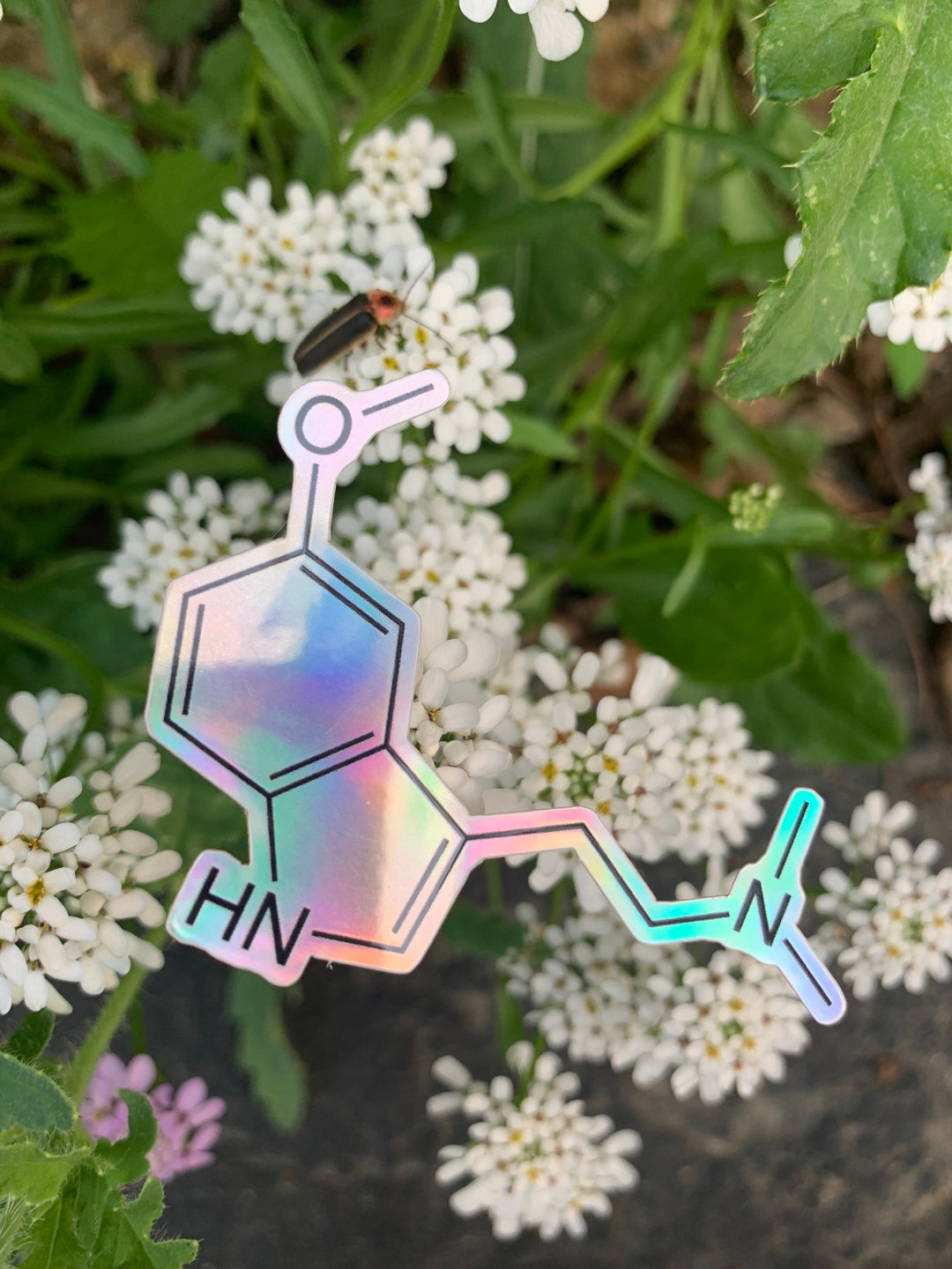 5-meo-dmt Bufo Alvarius Holographic Vinyl Sticker Molecule Molecular ...