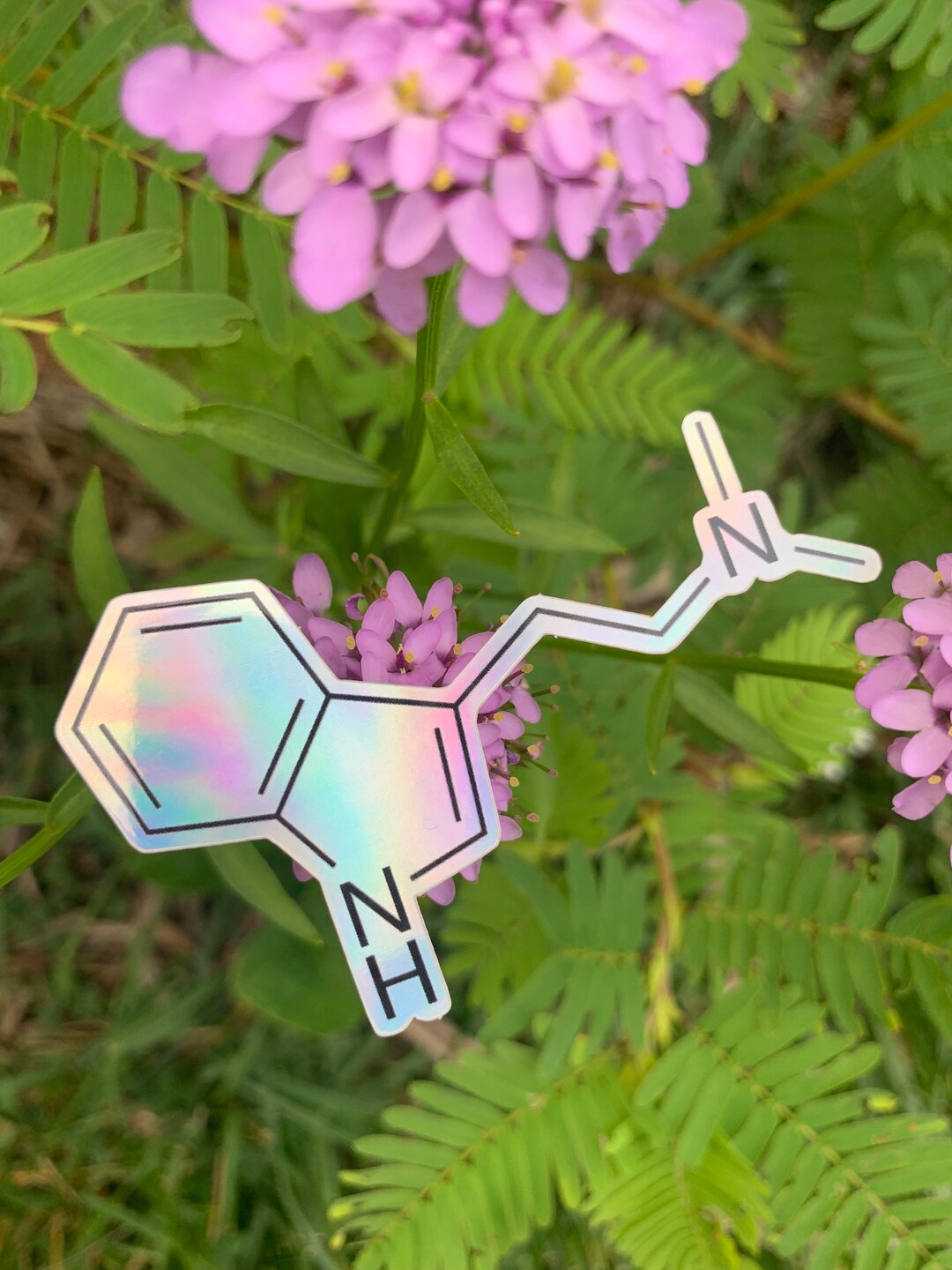 DMT Spirit Molecule Holographic Vinyl Sticker Molecular Structure - Etsy