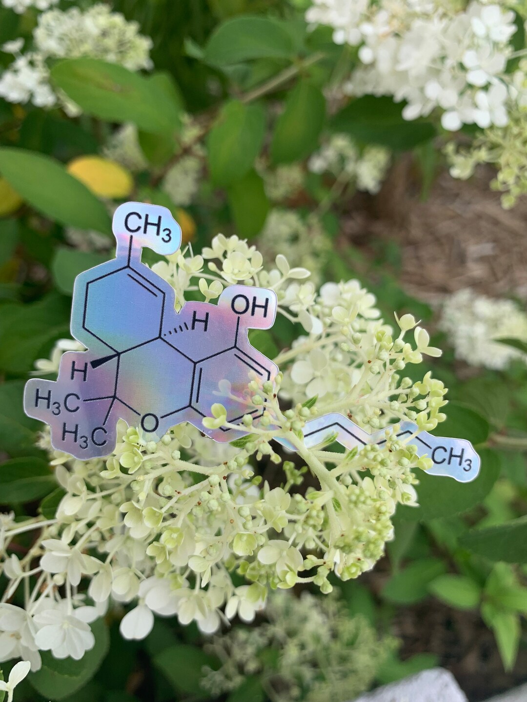THC Holographic Vinyl Sticker Molecule Molecular Structure - Etsy