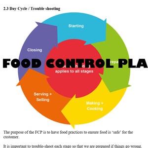 CUSTOM Food Control Plan Done for You, HACCP Food Safety Manual Created ...