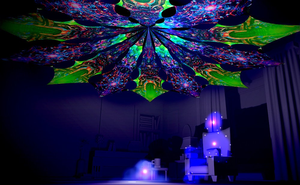 Ceiling Decoration Alien Enlightenment Psychedelic | Etsy