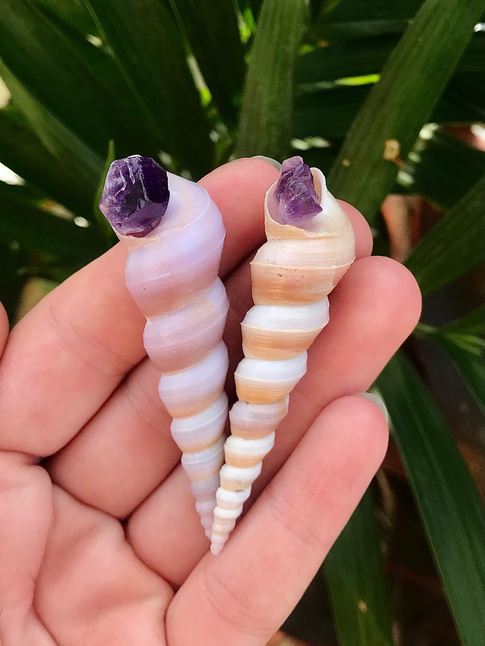 Amethyst Crystal & Shell Wand - Etsy