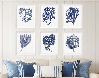 Coral Navy Wall Art | Etsy