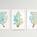 Teal Beach Decor, Teal Gray Wall Art, Teal Beach Theme Bathroom Art ...