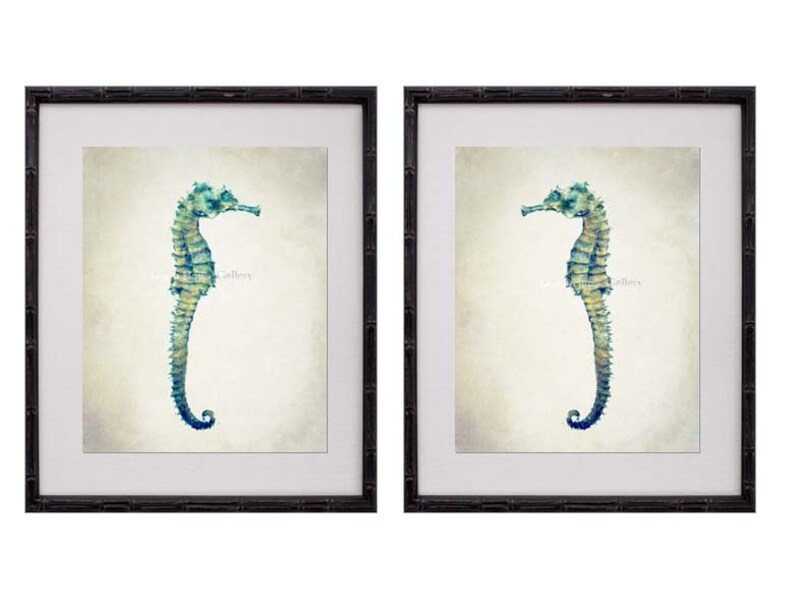 Seahorse Wall Art Seahorse Print Set Seahorse Prints - Etsy