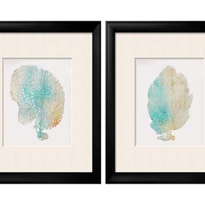 Sea Fan Prints Antique Illustration Sea Coral Print Set of - Etsy
