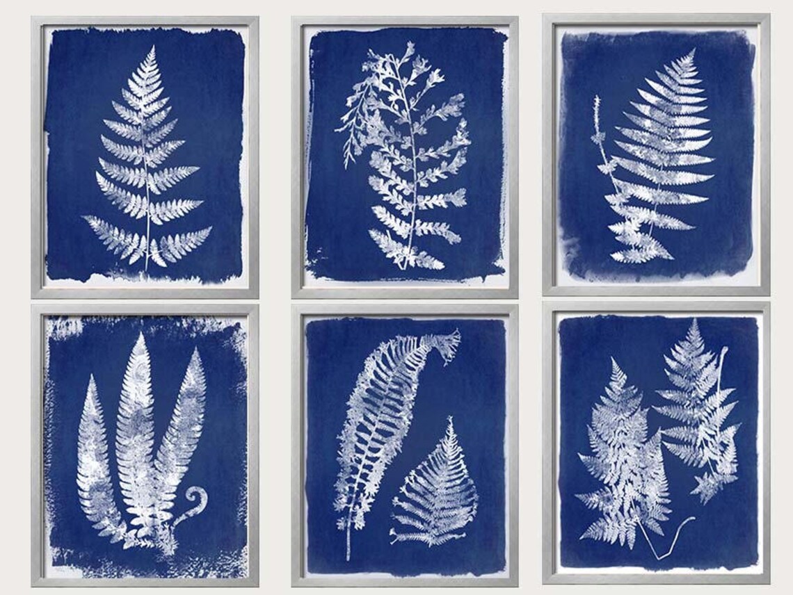 Cyanotype Fern Prints Set of Six Fern Prints Indigo Blue - Etsy