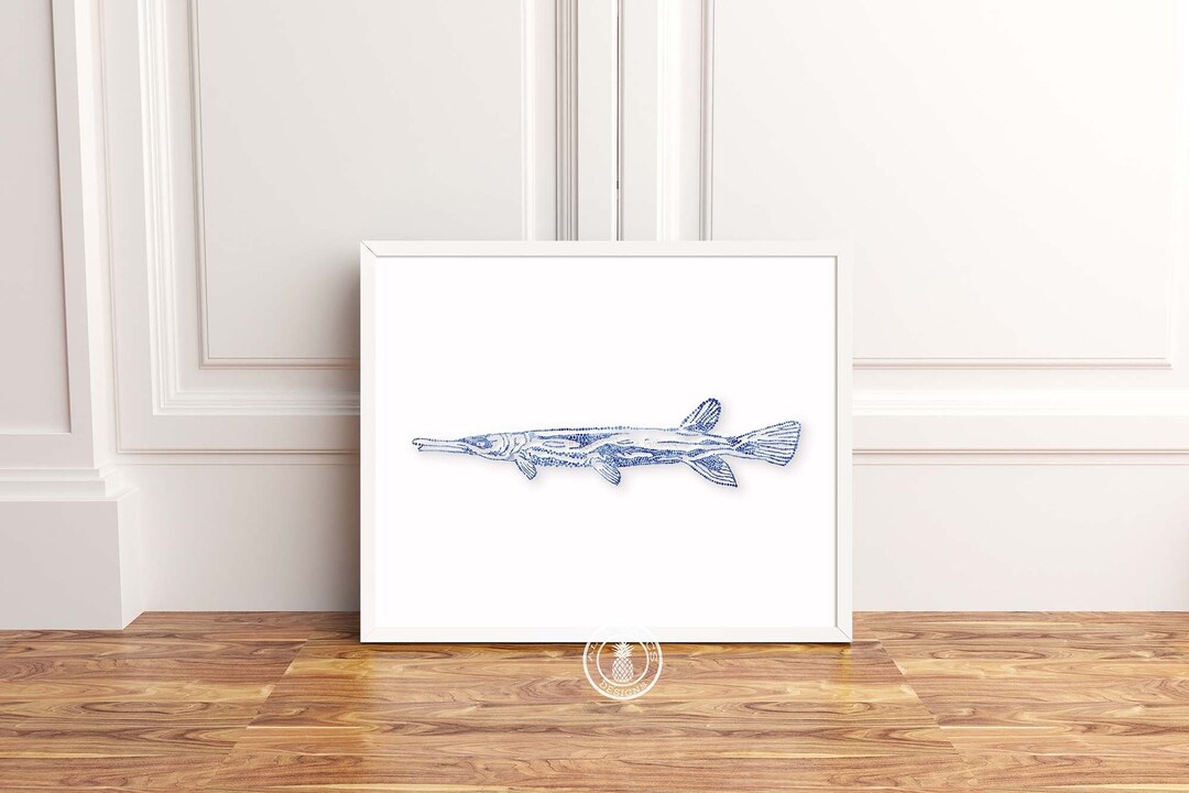Florida Fish Illustration Printed on Paper or Canvas, Modern Beach ...