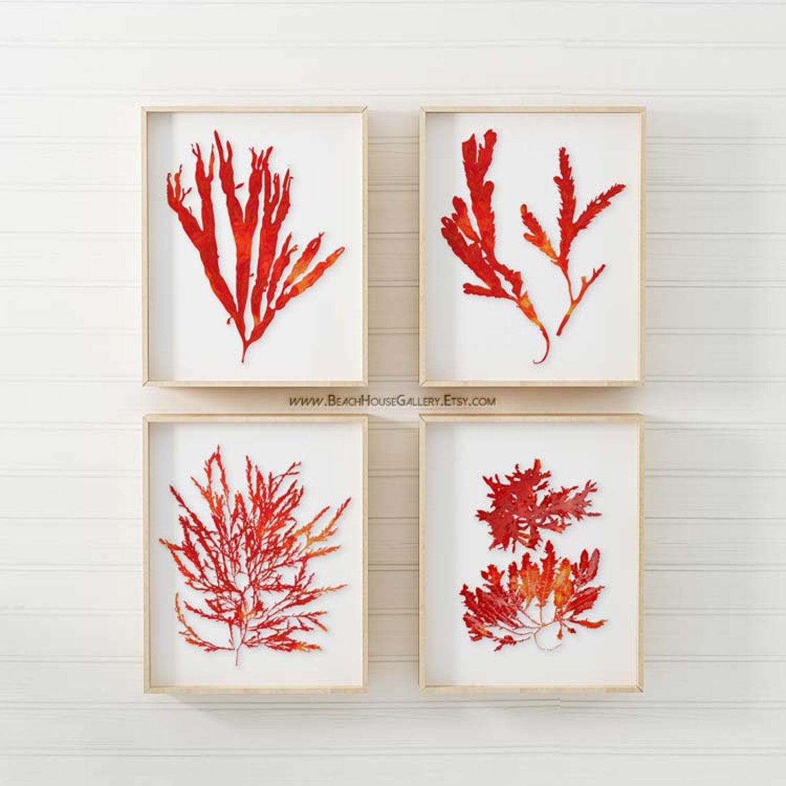Red Coral Red Sea Coral Print Red Seaweed Print Red Coral - Etsy