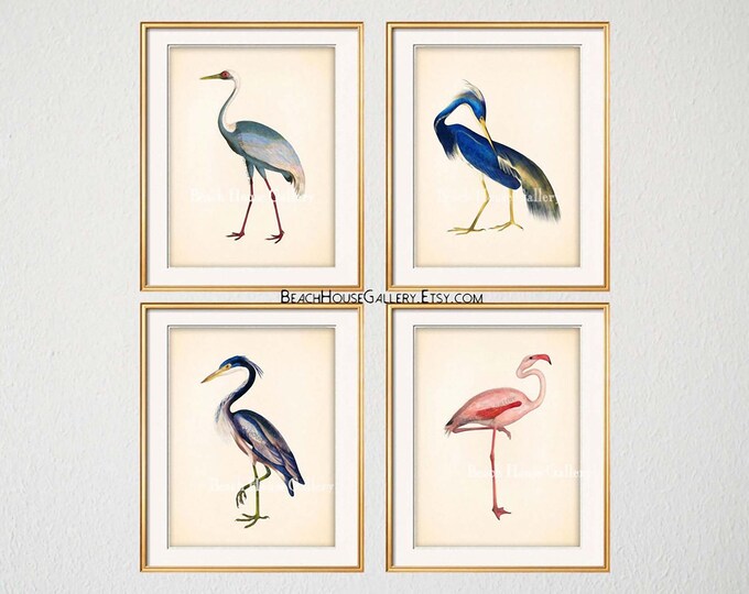 Tropical Bird Prints Flamingo Prints Chinoiserie Chic Palm | Etsy