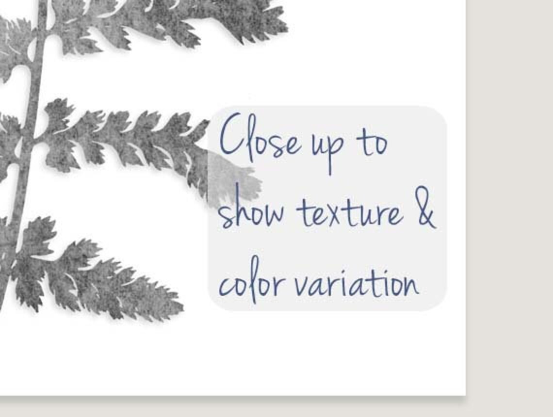 Gray White Wall Art Fern Botanical Prints Grey Wall Art | Etsy