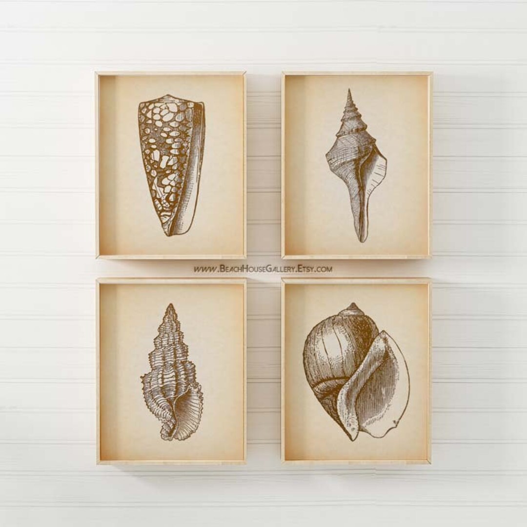 Sepia Seashell Prints, Antique Sepia Art Print, Brown Wall Art ...