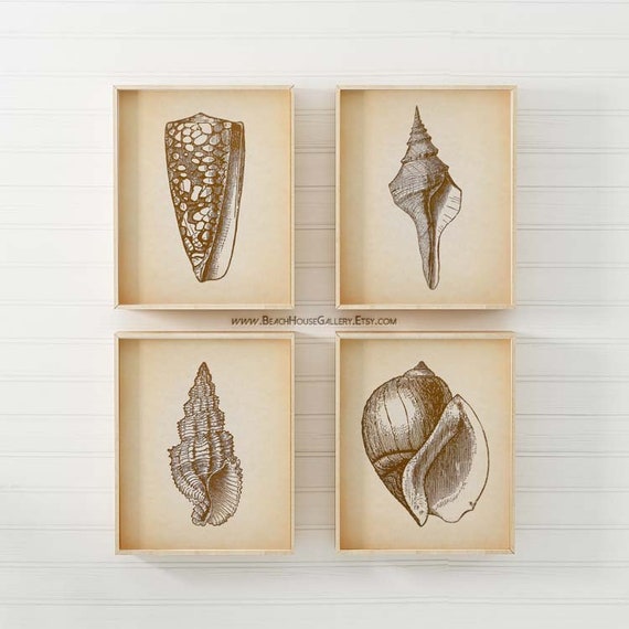 Sepia Seashell Prints Antique Sepia Art Print Brown Wall | Etsy